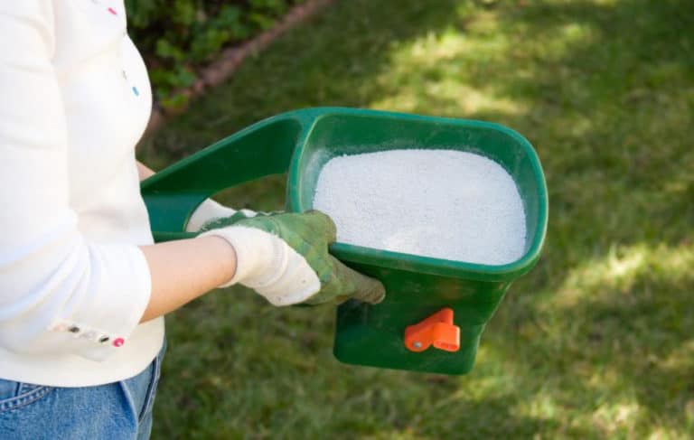 5 Best Hand Held Spreaders [2020 Reviews & Buyers Guide]