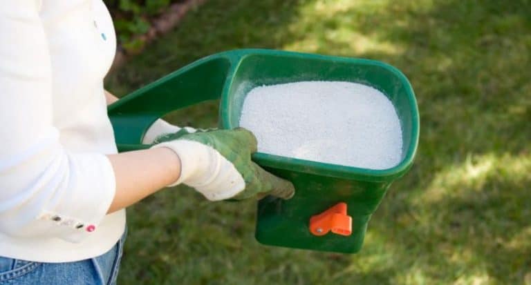 5 Best Hand Held Spreaders [2025 Reviews & Buyers Guide]