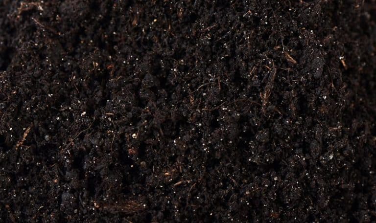 Guide To Composting: How To Make A Compost Pike Yourself