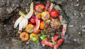 Guide To Composting: How To Make A Compost Pike Yourself