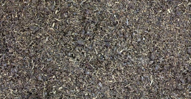 Guide To Starting A Worm Castings Composting Bin | Vermicomposting