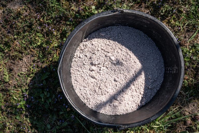 How To Dispose Of Old Lawn Fertilizer Safely | Obsessed Lawn & Garden