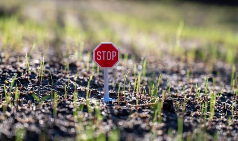 Pros And Cons Of Hydroseeding | Obsessed Lawn & Garden