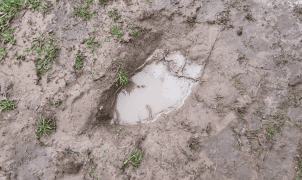 Temporary Fix For A Muddy Yard | Obsessed Lawn & Garden