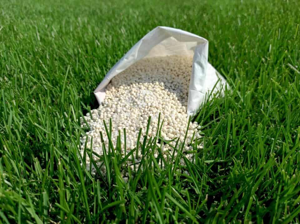 What Temperature Is Too Hot To Fertilize Your Lawn? | Obsessed Lawn ...
