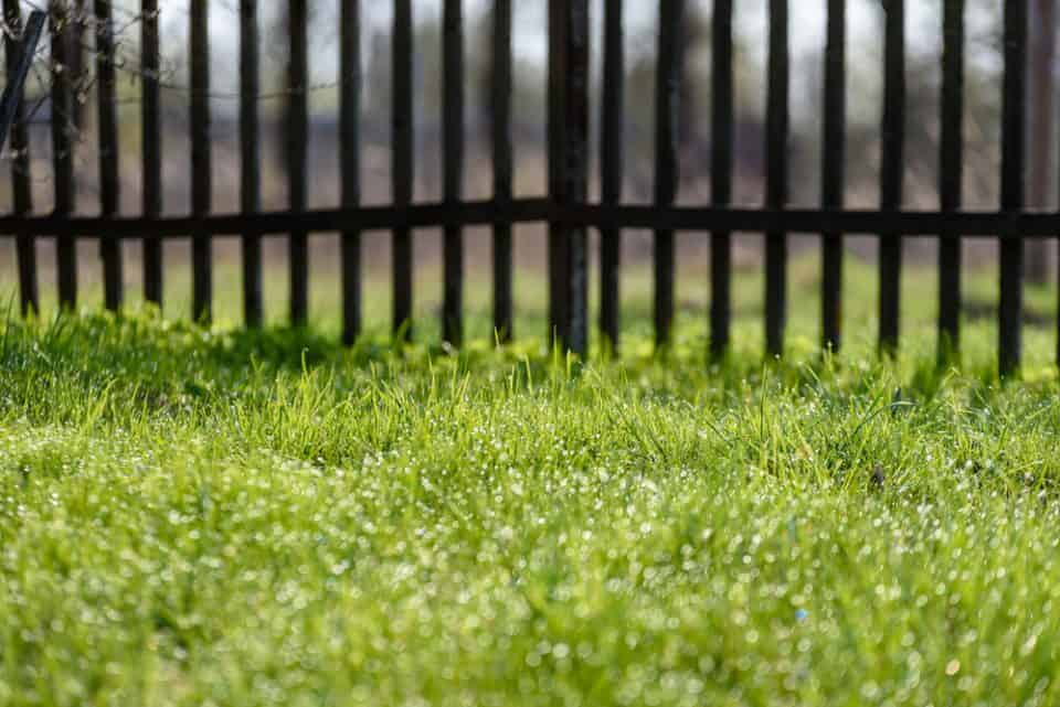 How To Cut The Grass Near A Fence | Obsessed Lawn & Garden