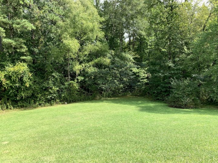 What Is The Easiest Grass To Grow In Alabama? | Obsessed Lawn & Garden