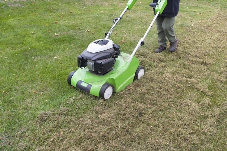 How To Remove Thatch From St Augustine Grass Obsessed Lawn And Garden 2292