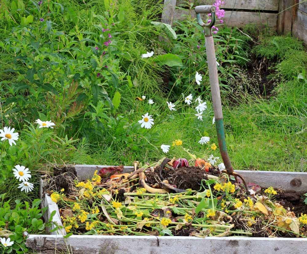 How Far Should The Compost Pile Be From The House Obsessed Lawn