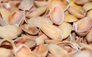 Are Pistachio Shells Good For The Garden? | Obsessed Lawn & Garden