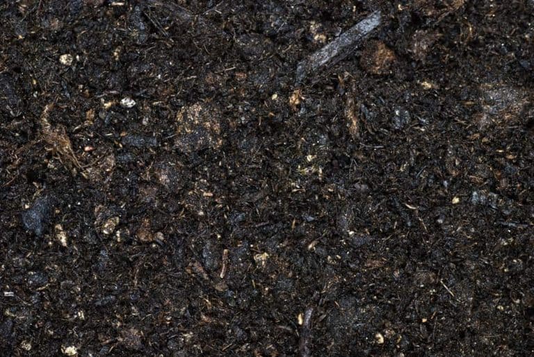 What Does Healthy Compost Look Like? | Obsessed Lawn & Garden