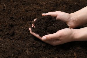 What Does Healthy Compost Look Like? | Obsessed Lawn & Garden