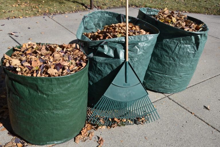 How To Rake Leaves Into A Bag? | Obsessed Lawn & Garden