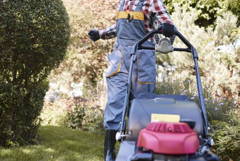 Why Is My Lawn Mower Pull Cord Hard To Pull? | Obsessed Lawn