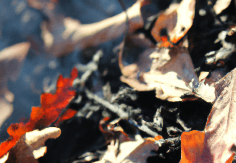 How To Burn Wet Leaves? | Obsessed Lawn & Garden