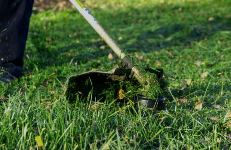 Can You Weed Whack Wet Grass? | Obsessed Lawn & Garden